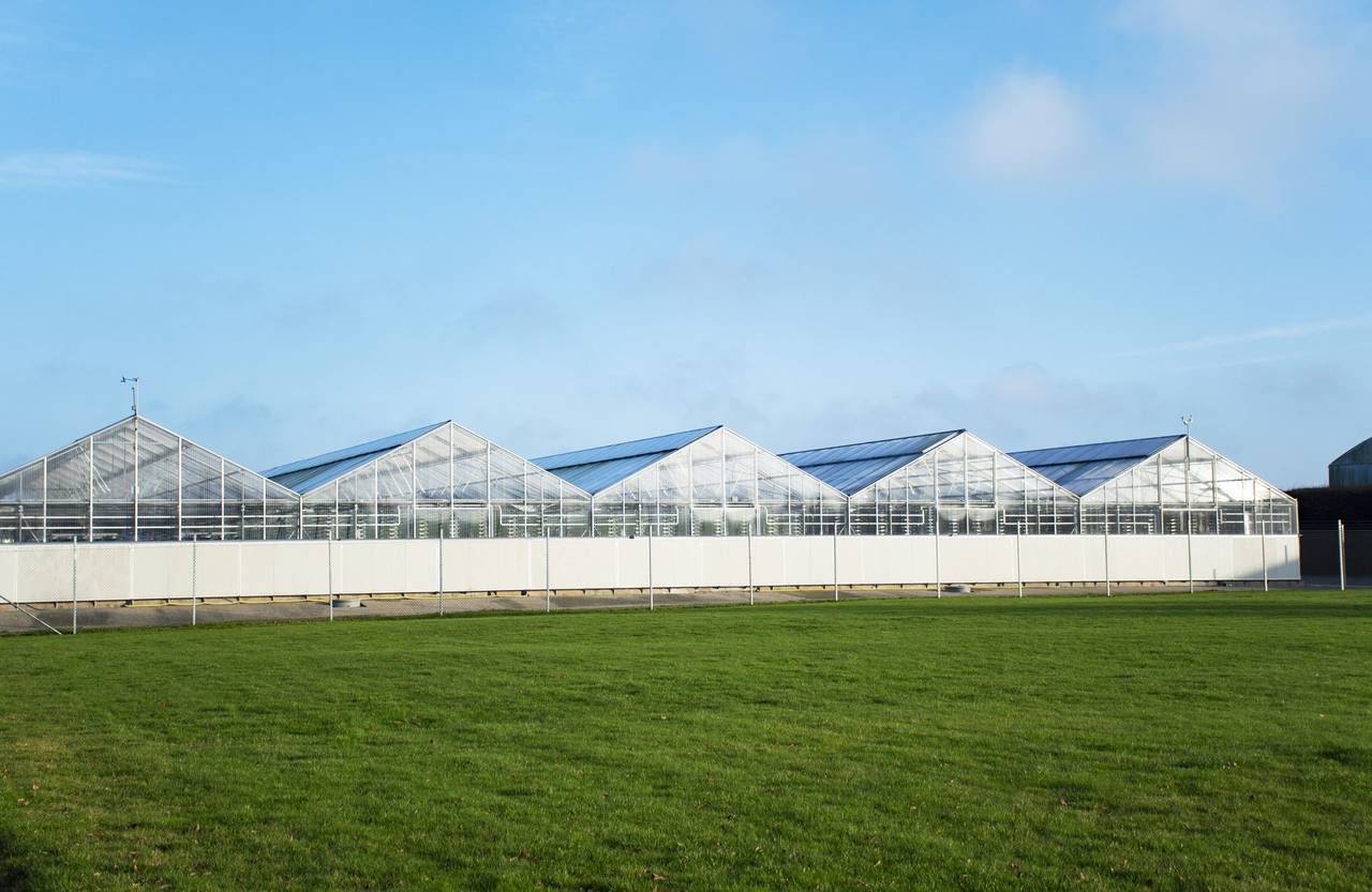 Contact | Simris Group