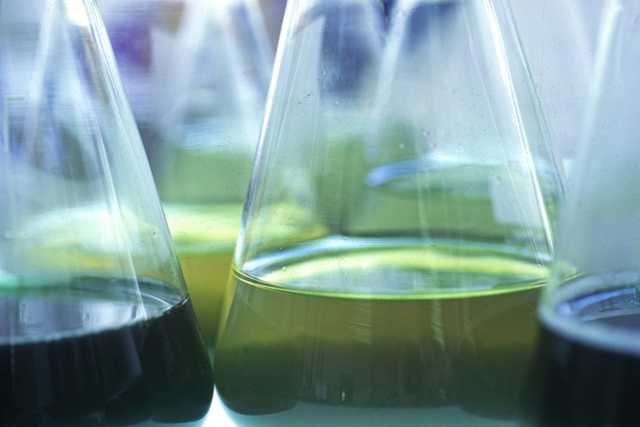 Cyanobacterial Expertise | Simris Group